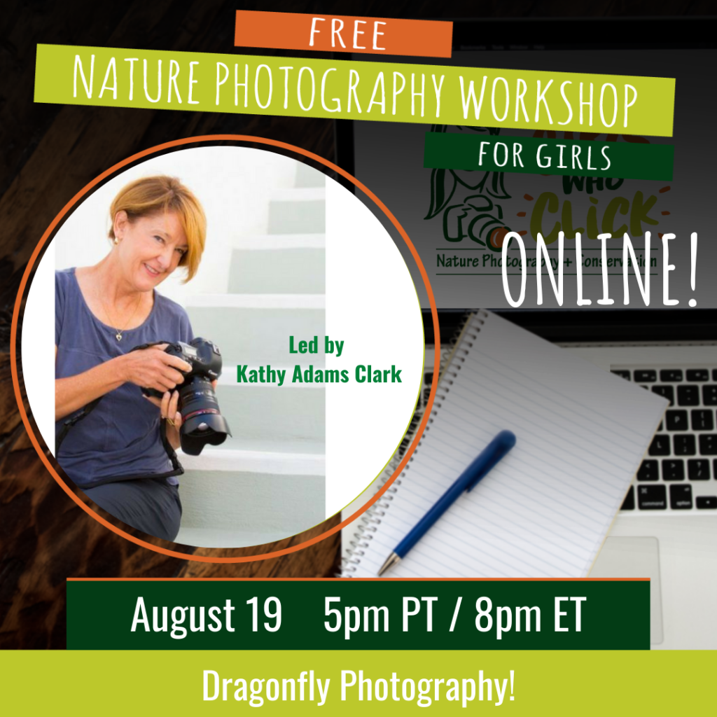 Free online dragonfly photography workshop with Kathy Adams Clark ...