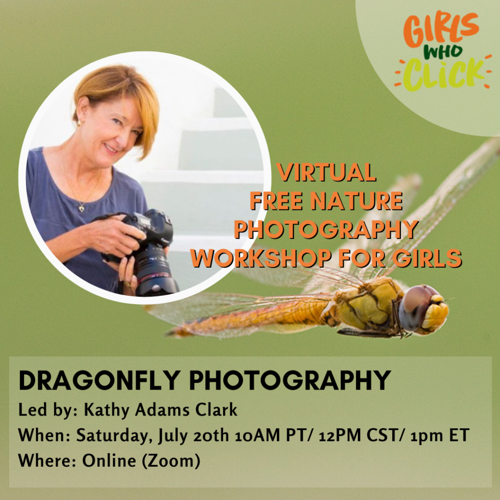 Dragonfly Photography with Kathy Adams Clark - Girls Who Click