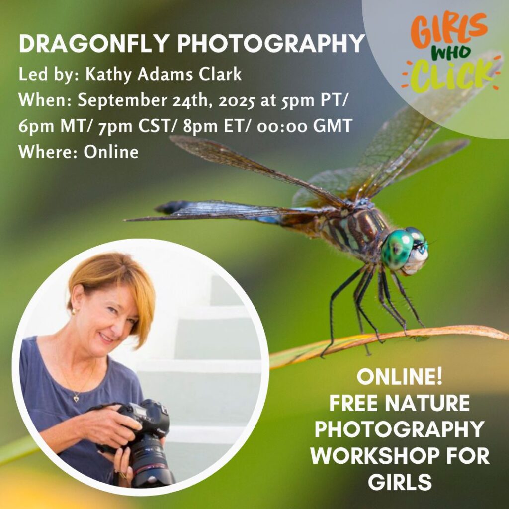 Dragonfly Photography with Kathy Adams Clark (online) - Girls Who Click